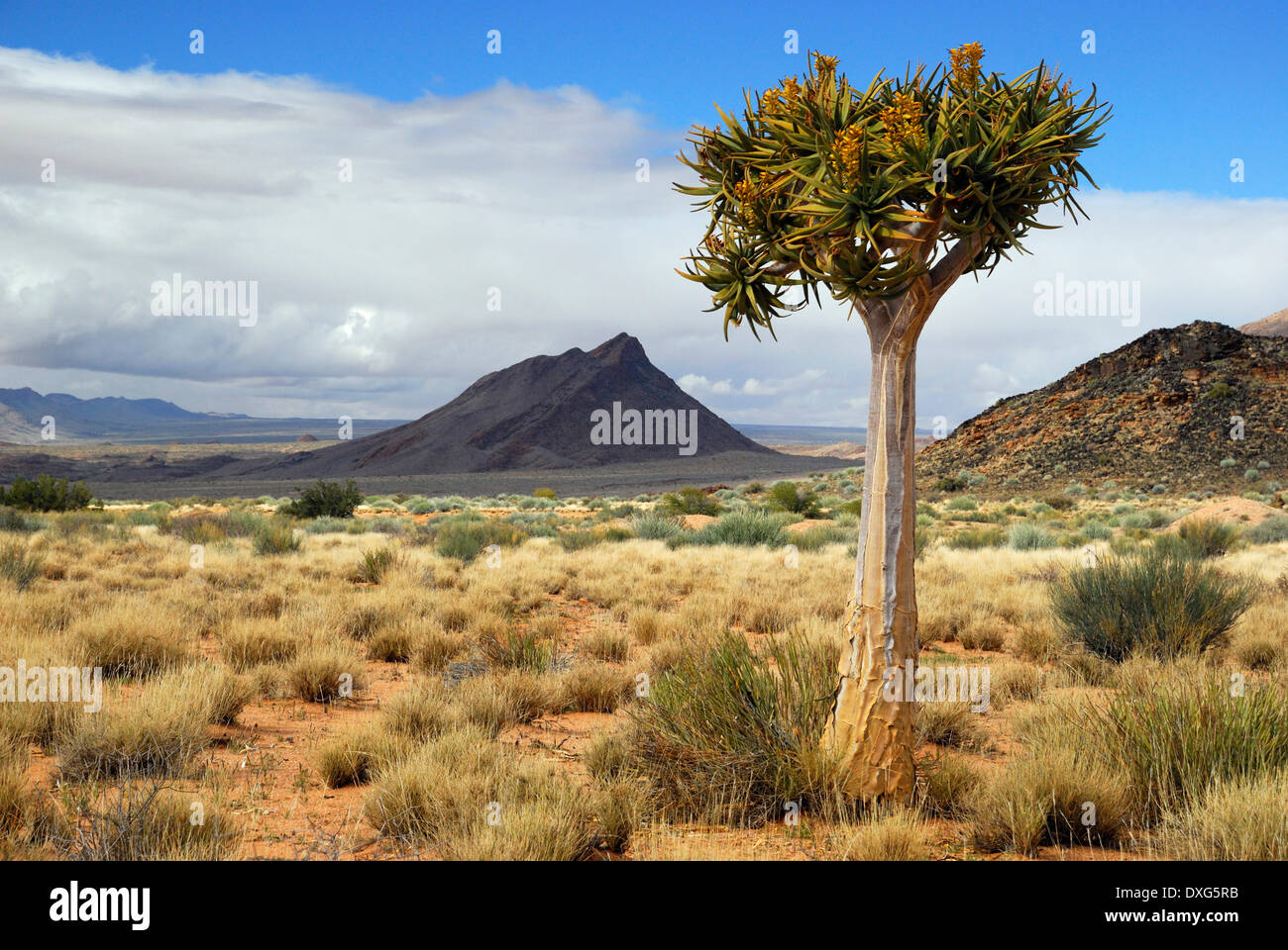 Pella northern cape hi-res stock photography and images - Alamy