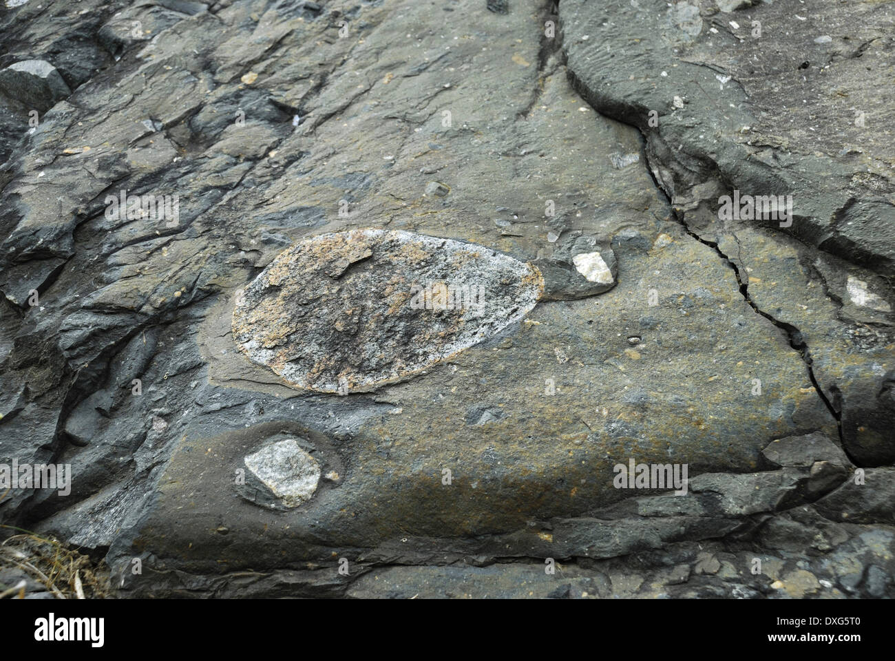 Dwyka tillite hi-res stock photography and images - Alamy