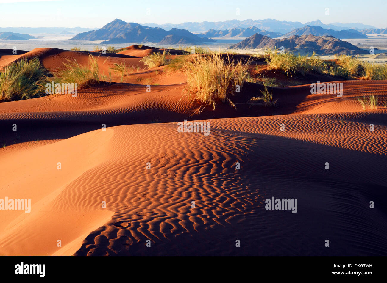 Elim hi-res stock photography and images - Alamy