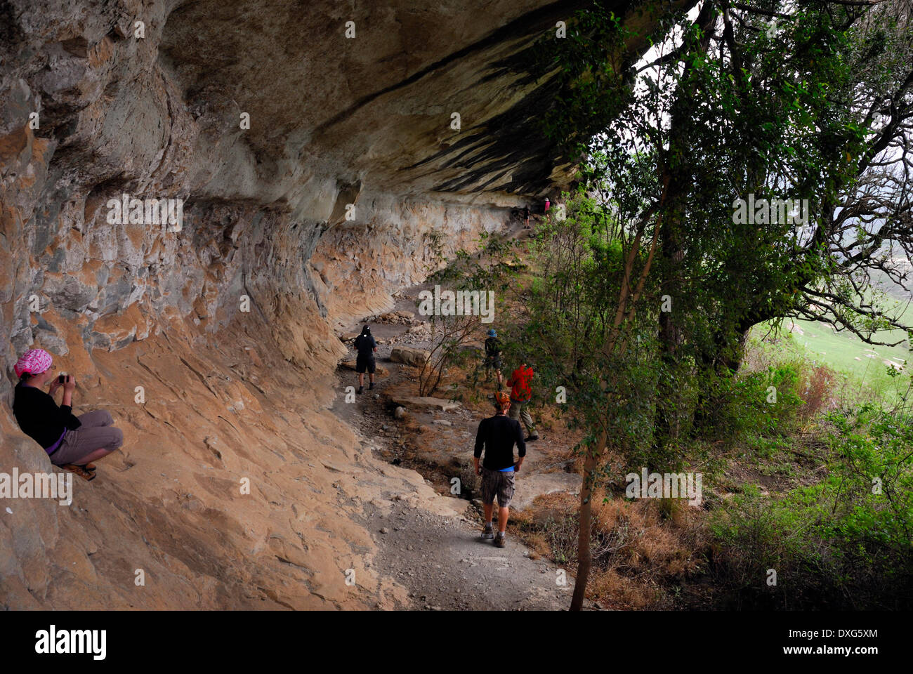 Stable Cave in sandstone layer, Drakensberg mountains Stock Photo - Alamy
