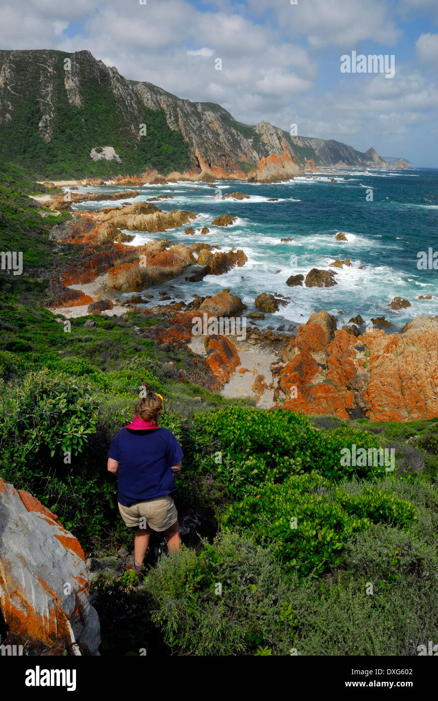 Harkerville hi-res stock photography and images - Alamy