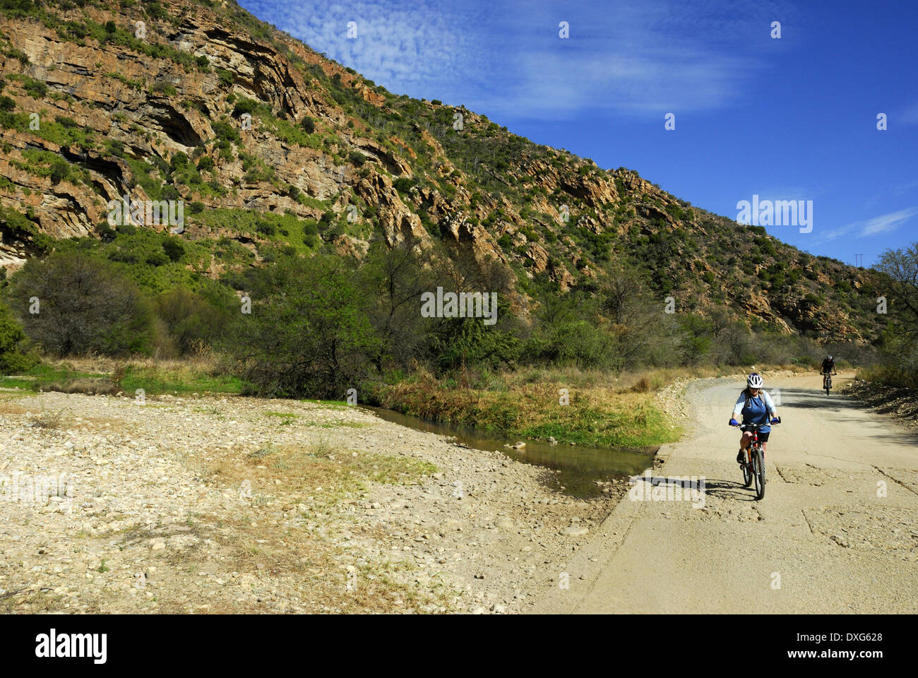 Folded, buckled, rock strata in Baviaanskloof Pass, Eastern Cape, South ...