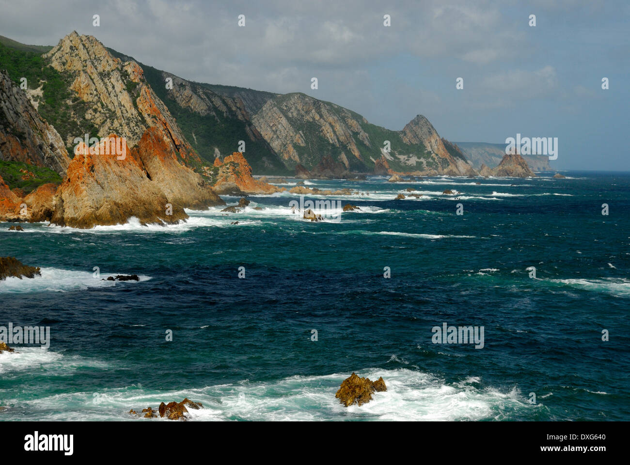 Tilted rock strata on the rugged Harkerville Coast Stock Photo - Alamy