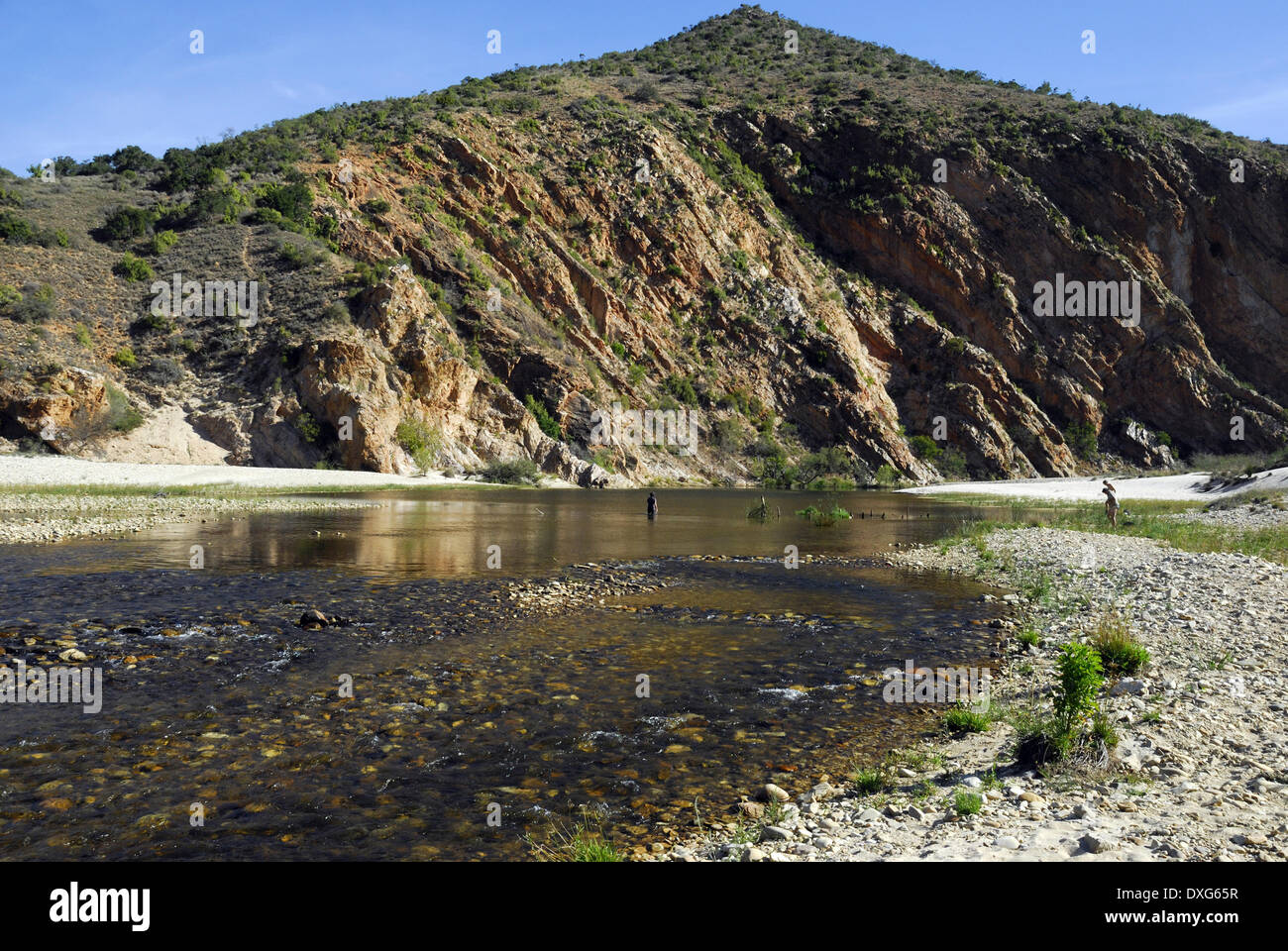 Rooihoek hi-res stock photography and images - Alamy