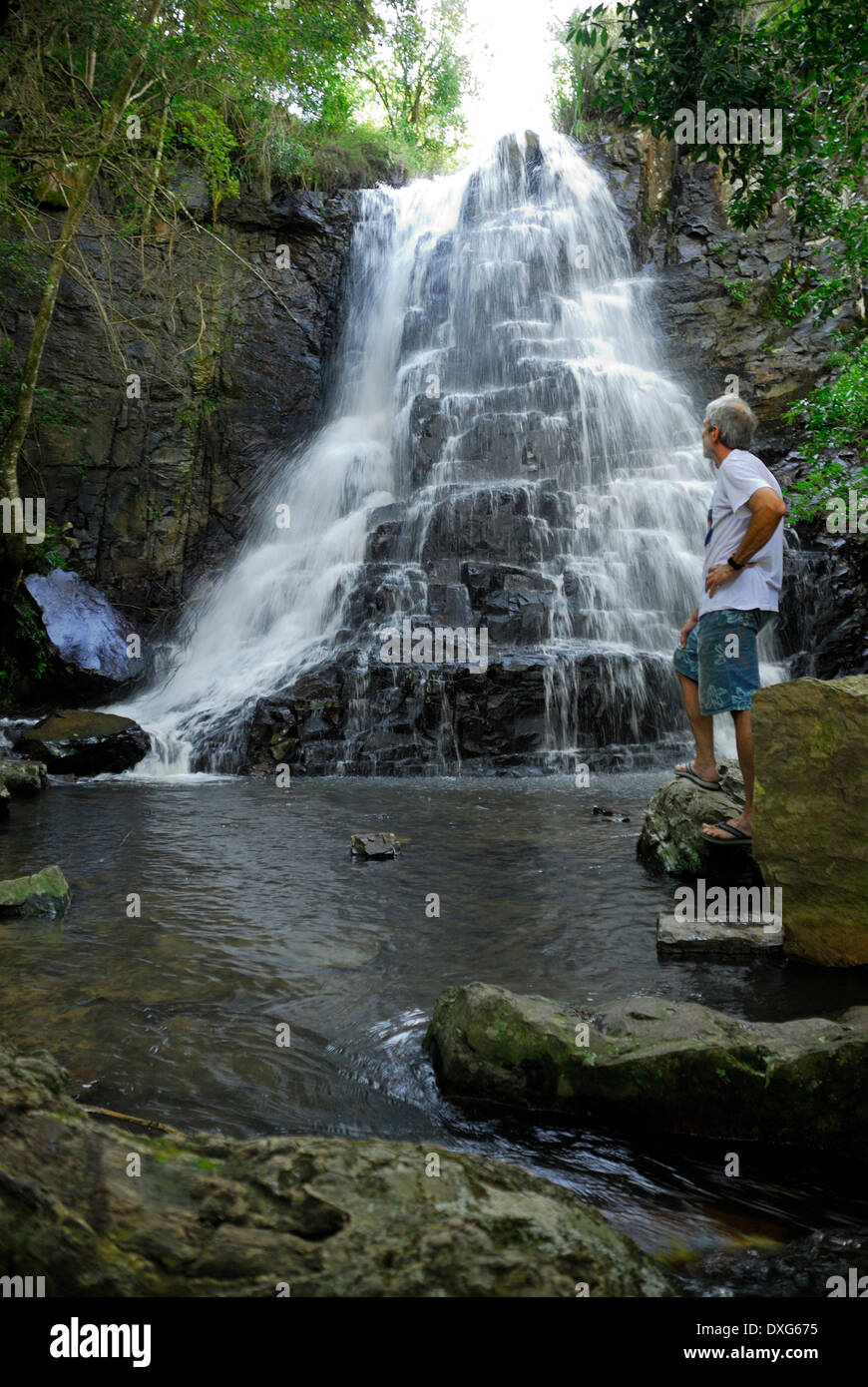 39 Steps waterfall, Hogsback, Eastern Cape, South Africa Stock Photo ...
