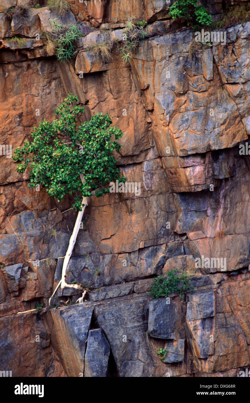 White rock cliffs hi-res stock photography and images - Alamy