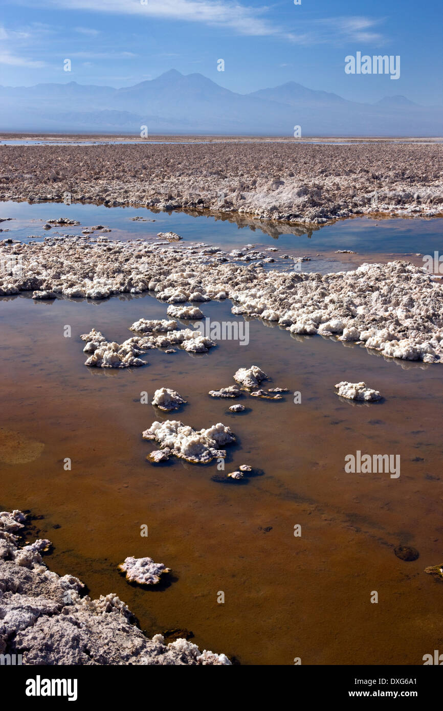 Atacama Desert Chile Salt Flats High Resolution Stock Photography and ...