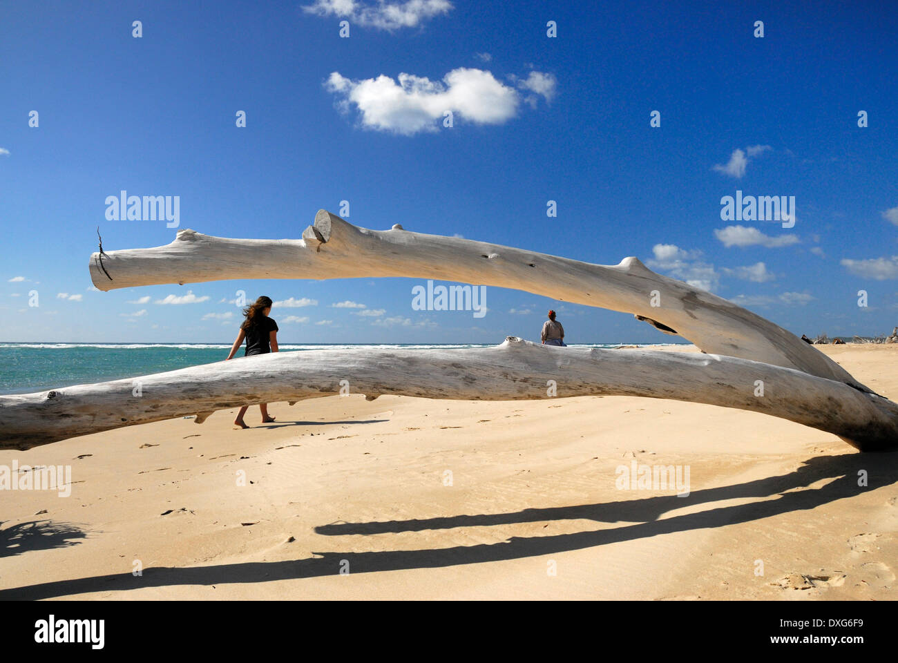 The beach at pomene lodge hi-res stock photography and images - Alamy