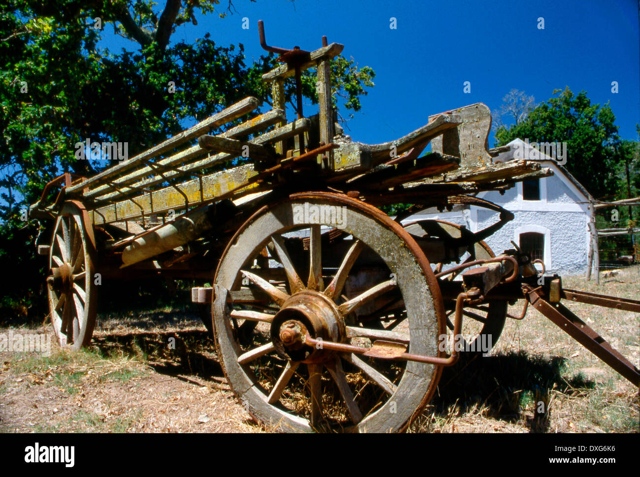 Ox wagon hi-res stock photography and images - Alamy