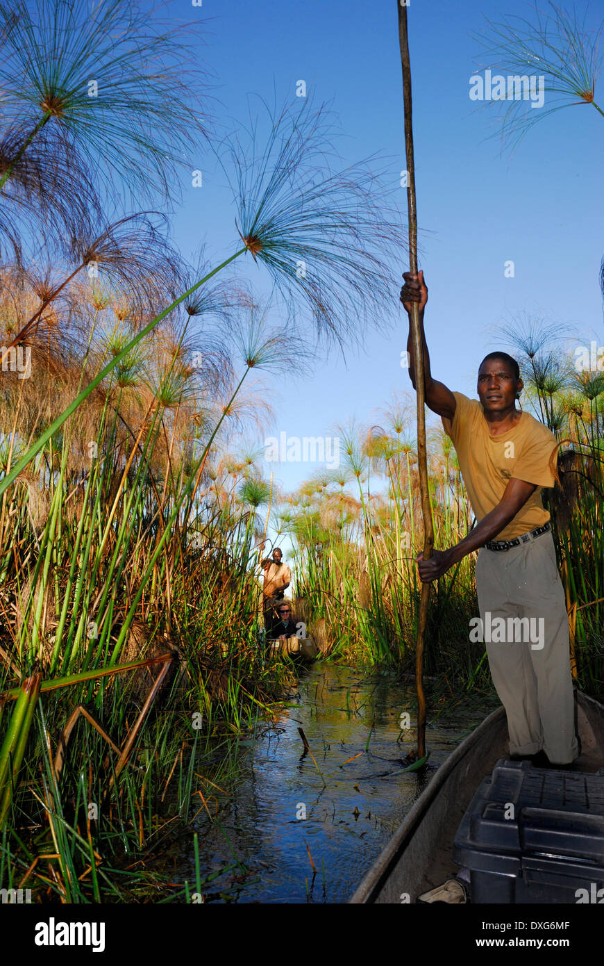 Poles are used to propel, or punt, dugout mekoros through the reeds and ...