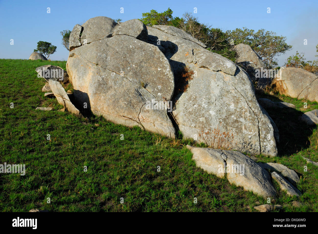 Ngoye forest hi-res stock photography and images - Alamy