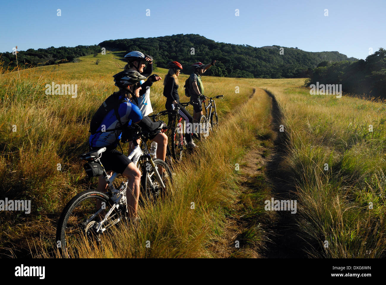 Ngoye forest reserve hi-res stock photography and images - Alamy
