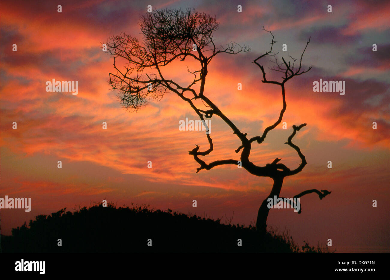 Isipingo Beach Sunrise Stock Photo - Alamy