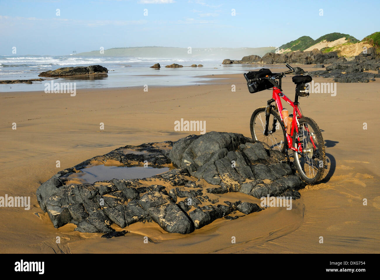 Mazeppa hi-res stock photography and images - Alamy