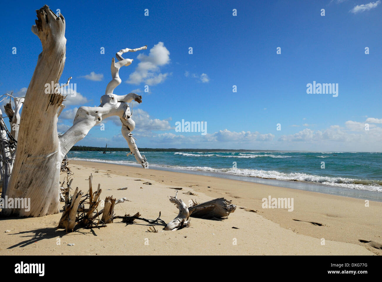 Pomene hi-res stock photography and images - Alamy