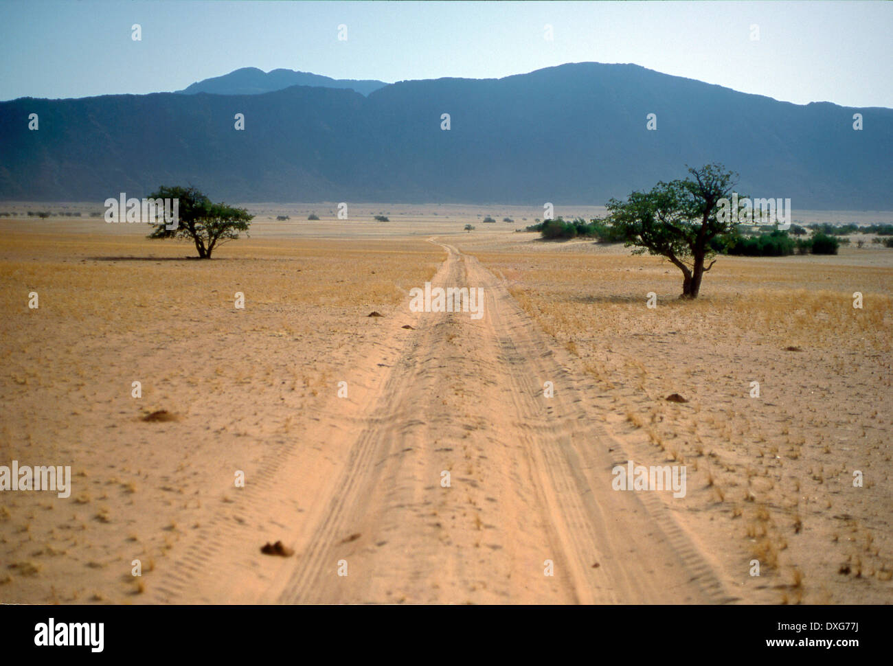 Sandy track through the marienflus hi-res stock photography and images ...