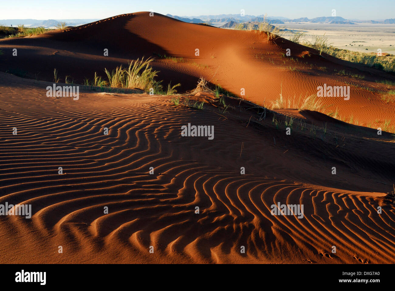 Elim High Resolution Stock Photography and Images - Alamy