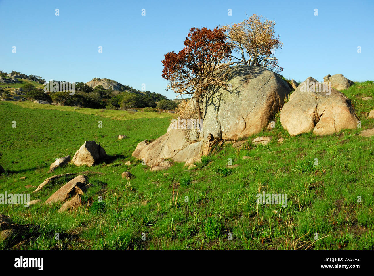 Ngoye Forest Reserve High Resolution Stock Photography and Images - Alamy
