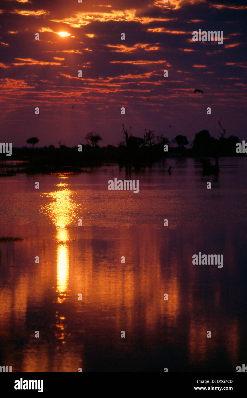 Sunset, Chobe River, Botswana Stock Photo - Alamy