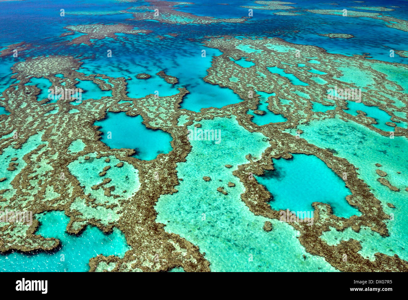 Reefs and atolls, Great Barrier Reef, Queensland, Australia Stock Photo ...