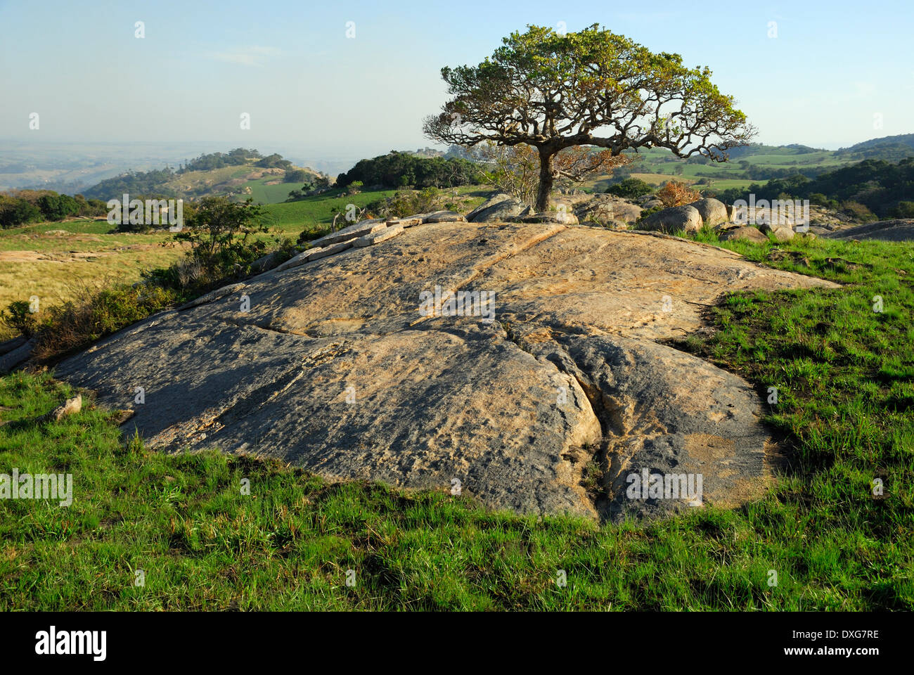 Granite slabs and boulders, Ongoye Forest Reserve Stock Photo - Alamy