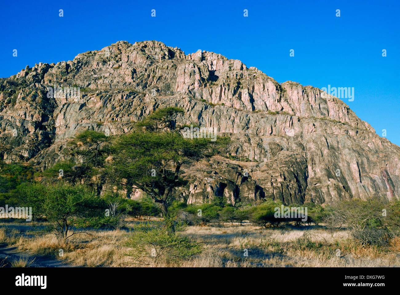 Late afternoon light on the Tsodilo Hills in Botswana, famous for the ...