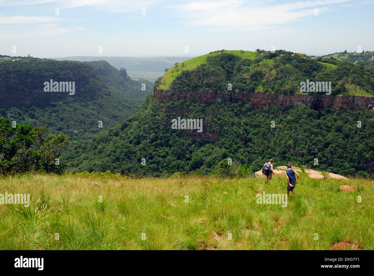 Kloof Gorge, Krantzkloof Nature Reserve, Kloof, Durban, South Africa ...
