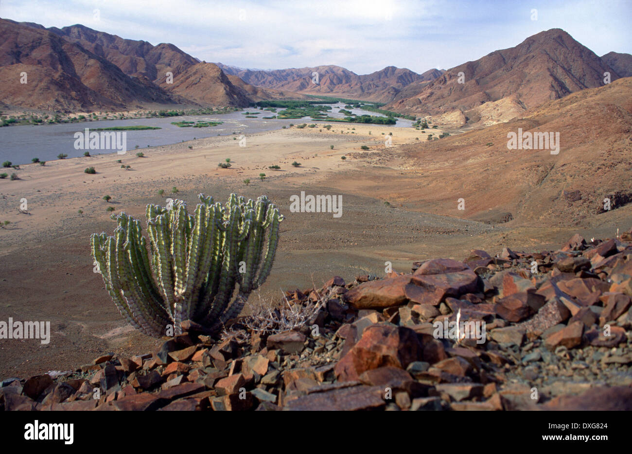 Euphorbia and Orange River at de Hoop, Richtersveld Stock Photo - Alamy