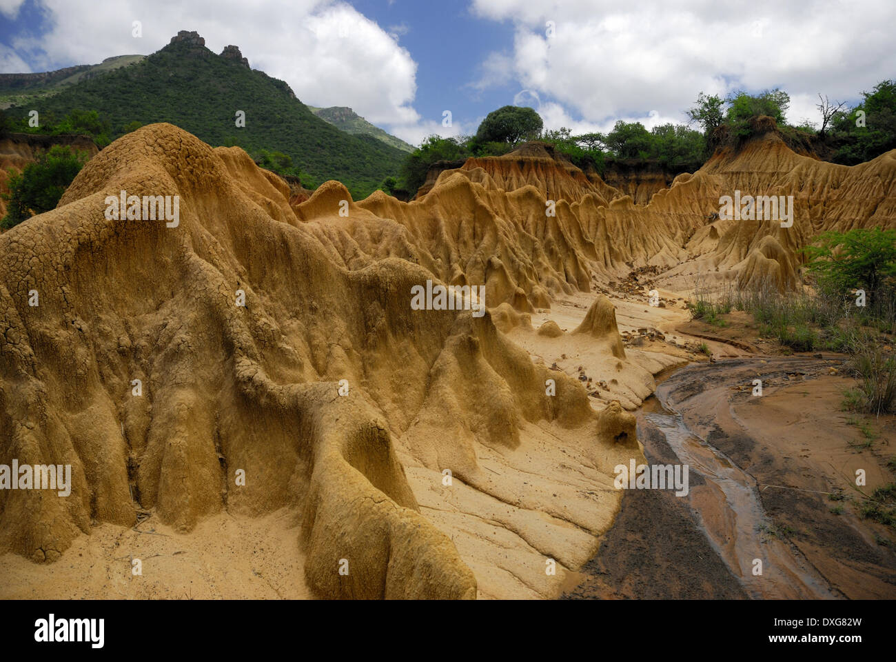 Deep donga due to soil erosion, Ithala Game reserve Stock Photo - Alamy