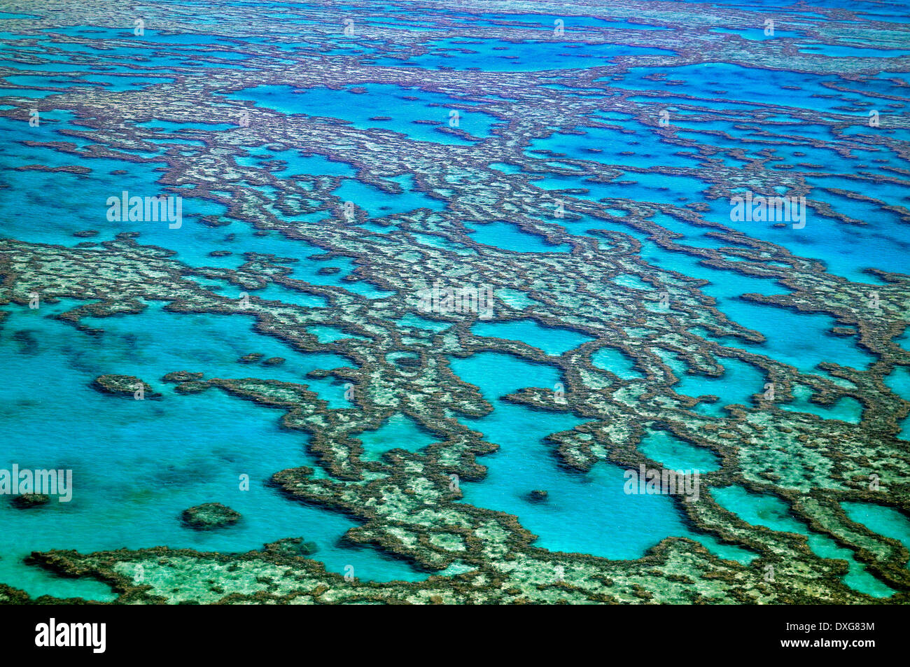 Reefs and atolls, Great Barrier Reef, Queensland, Australia Stock Photo ...
