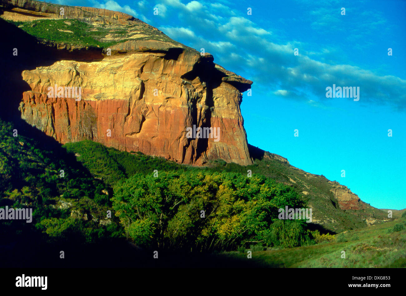Mushroom Rocks sandstone cliffs at Golden Gate National Park Stock ...