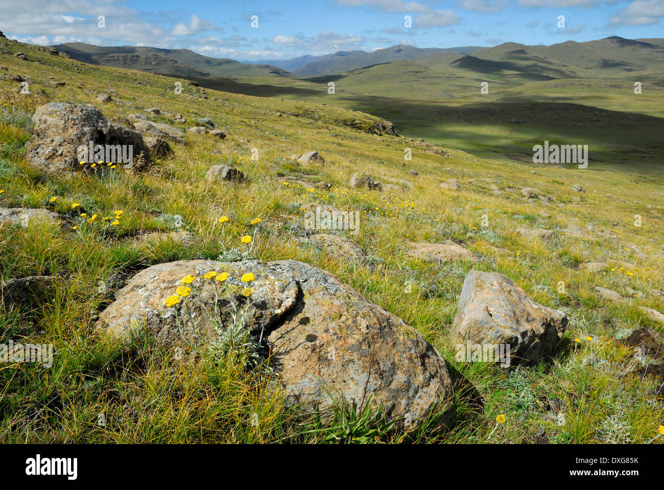View back into Lesotho on top of the escarpment near the source of the ...