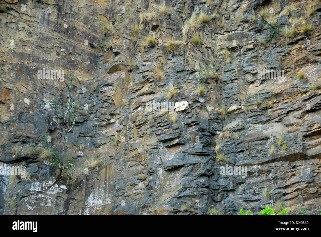 Tillite hi-res stock photography and images - Alamy