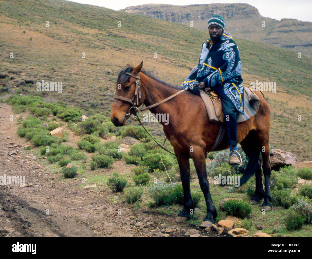 Lesotho basotho pony hi-res stock photography and images - Alamy