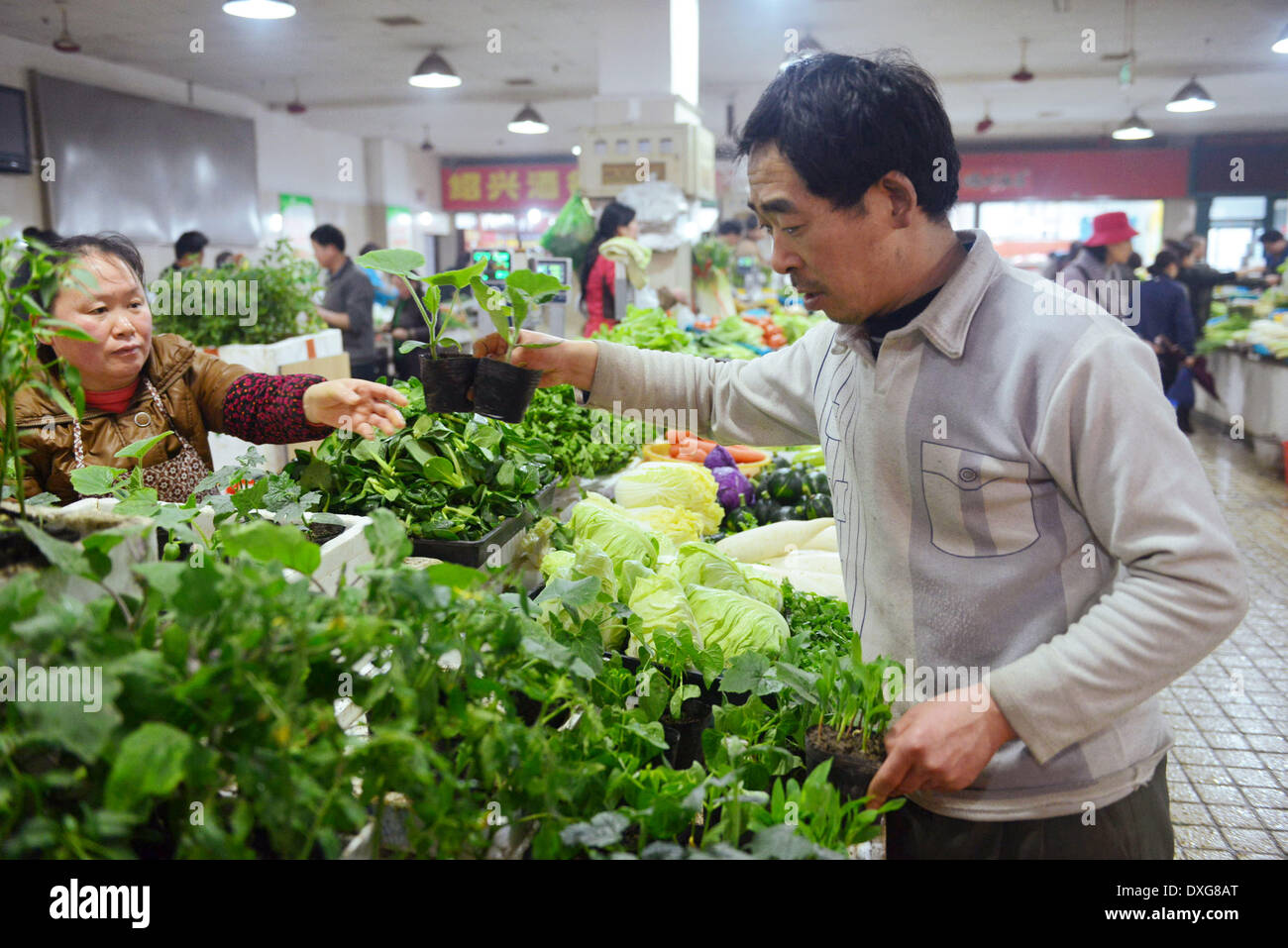 Yilin chen hi-res stock photography and images - Alamy