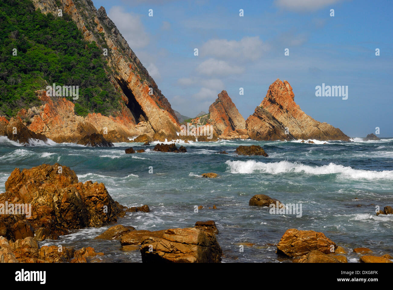 Tilted rock strata on the rugged Harkerville Coast Stock Photo - Alamy