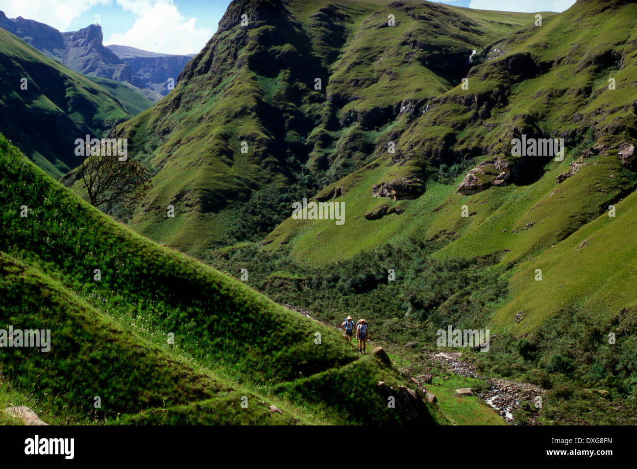 Hikers at Lotheni, Drakensberg Stock Photo - Alamy