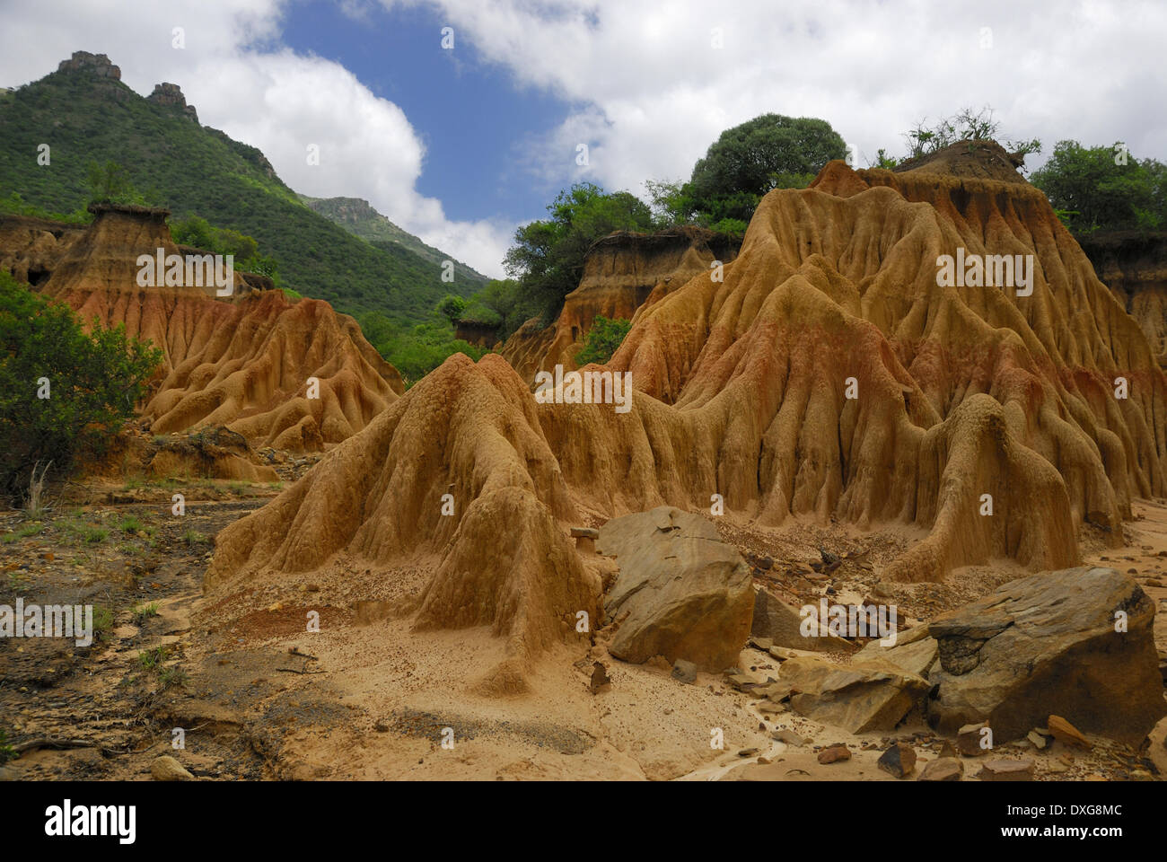 Deep donga due to soil erosion, Ithala Game reserve Stock Photo - Alamy