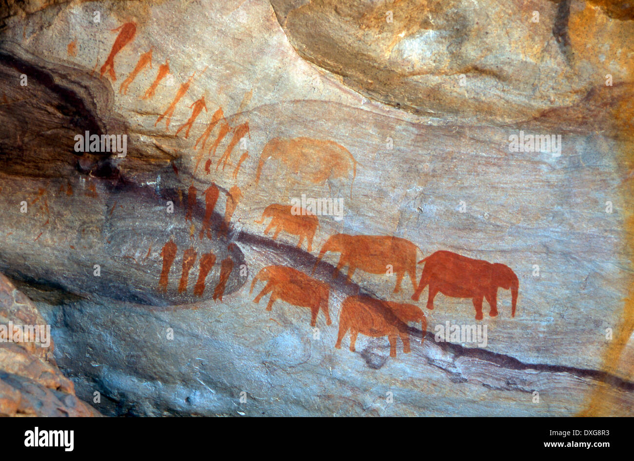 San (Bushman) rock art paintings of elephants at Stadsaal Caves ...
