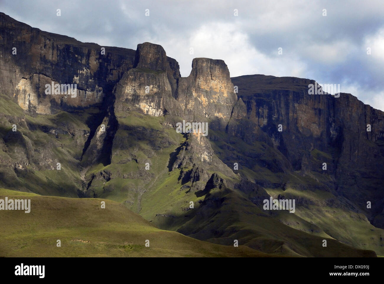 Eastern and Western Injesuthi Triplets standing out in front of the ...