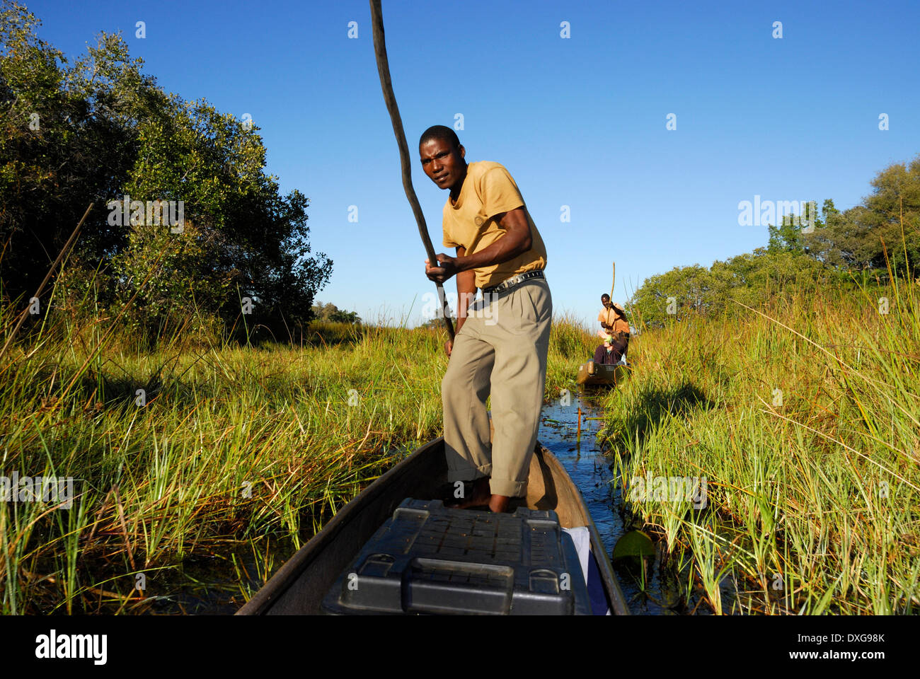 Poles are used to propel, or punt, dugout mekoros through the reeds and ...