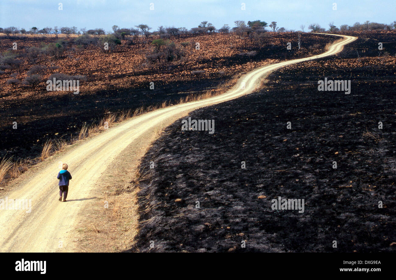 Weenen game reserve hi-res stock photography and images - Alamy