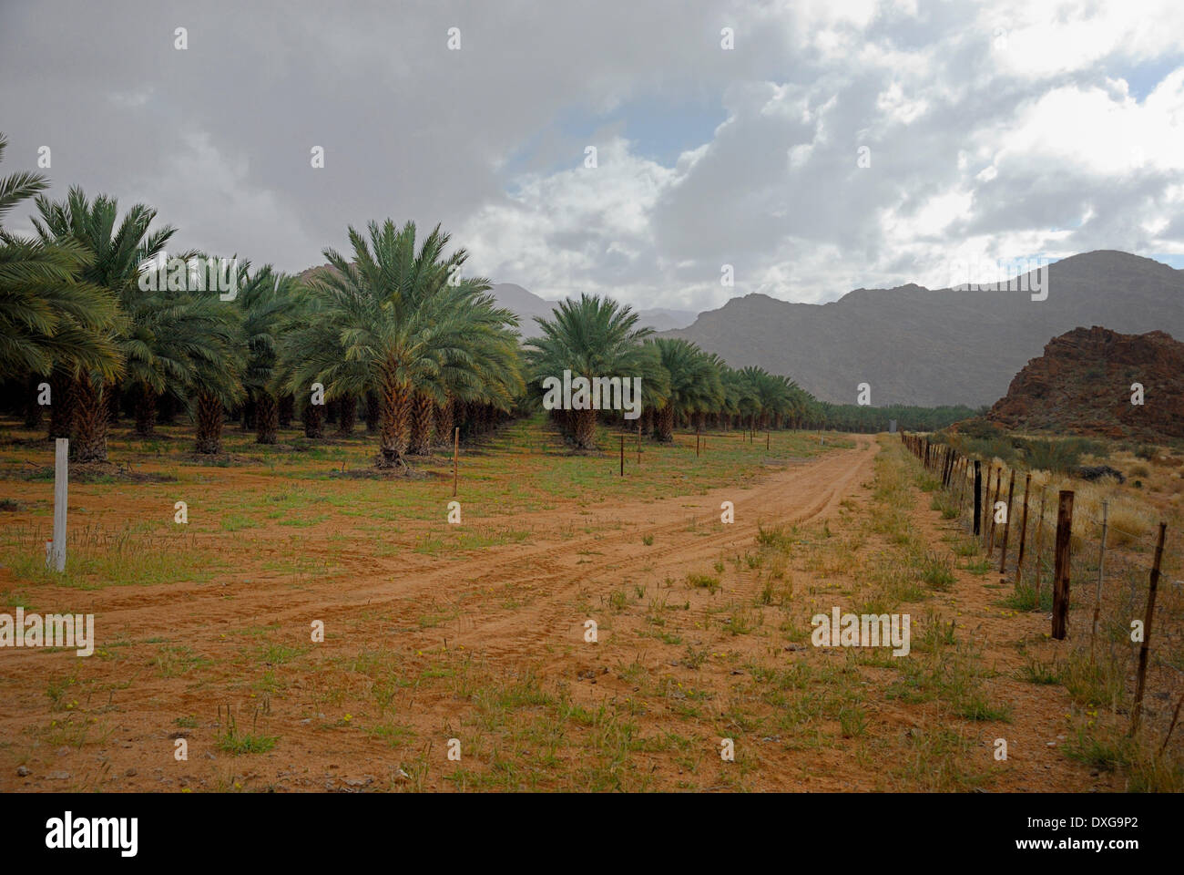 Pella northern cape hi-res stock photography and images - Alamy