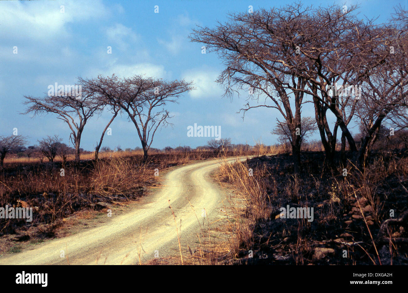 Weenen nature reserve hi-res stock photography and images - Alamy