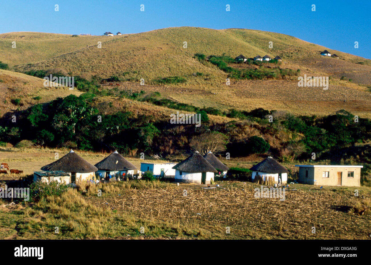 Transkei huts hi-res stock photography and images - Alamy