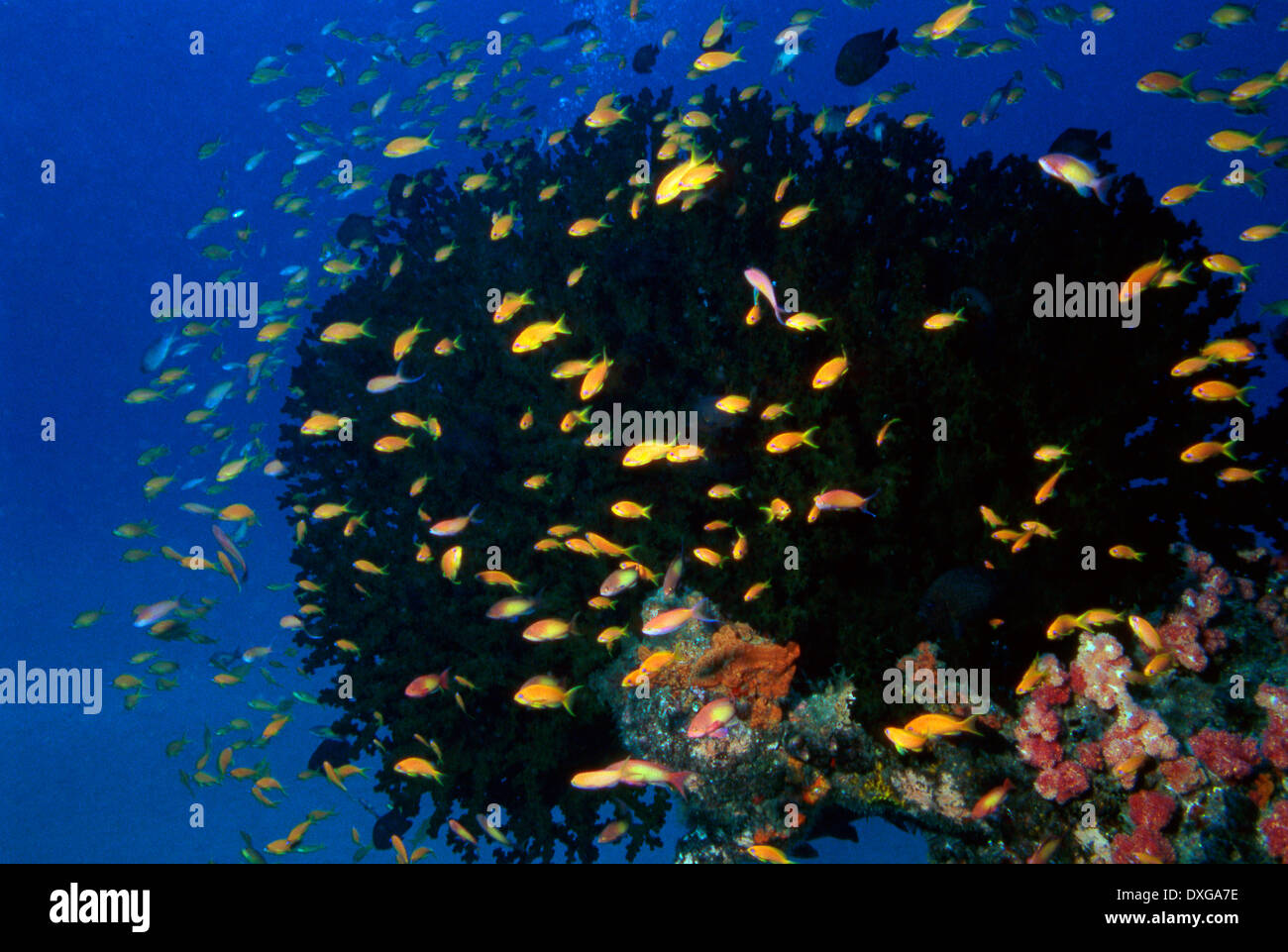 Sodwana hi-res stock photography and images - Alamy