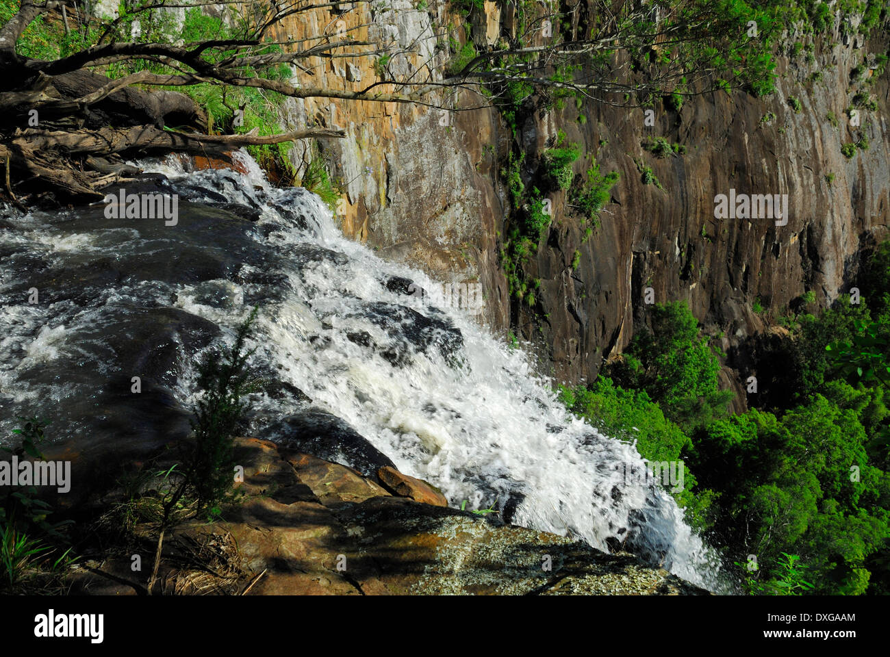 Robinson Falls, Hogsback, Eastern Cape, South Africa Stock Photo - Alamy