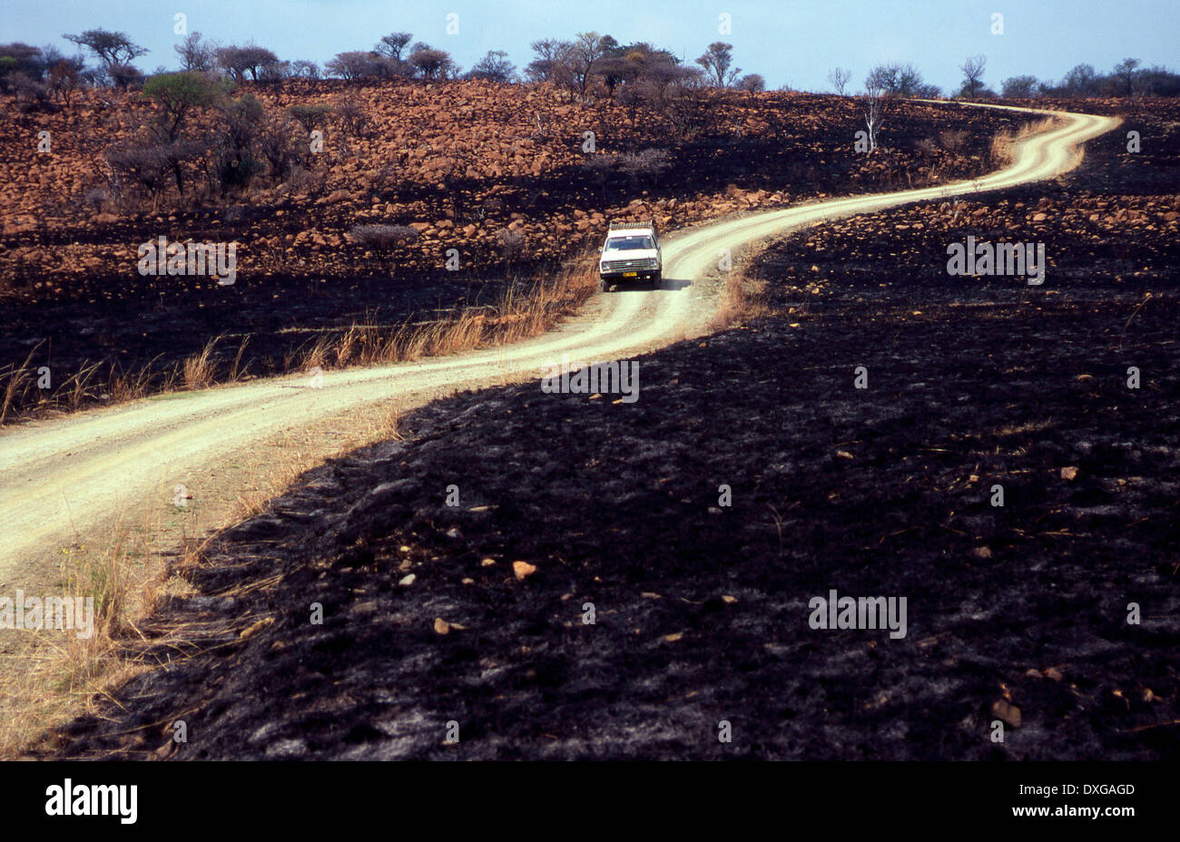 Road through burnt veldt, Weenen Nature Reserve Stock Photo - Alamy