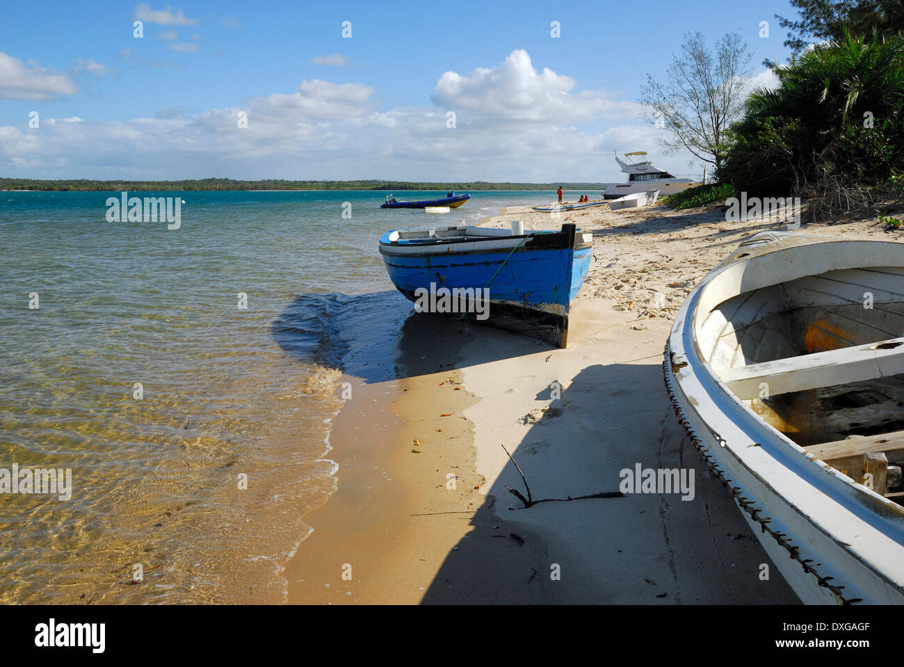 Pomene hi-res stock photography and images - Alamy
