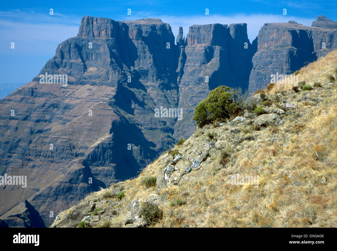 Devils Tooth South Africa